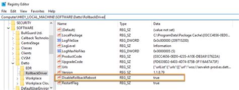 Working With Ransomware Rollback