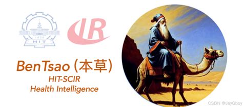 基于大语言模型的医疗问答系统的设计与研究