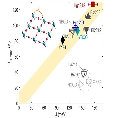 北京大学新闻网
