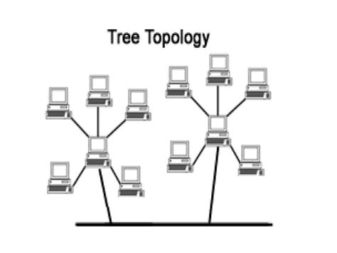 Network Topologies In Simple Logical Physical And Types PPT
