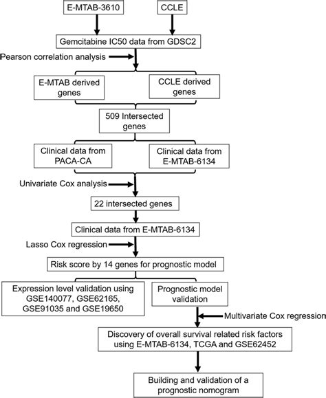 Flowchart Of The Data Processing Procedure Download Scientific Diagram