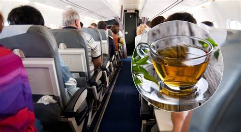 12 фактов о полетах в самолете которые мало кто знает Вот почему я не пью чай на борту