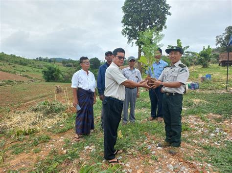 မိုးနဲမြို့နယ် လမ်းဦးစီးဌာနမှ မိုးရာသီစုပေါင်းသစ်ပင်စိုက်ပျိုး