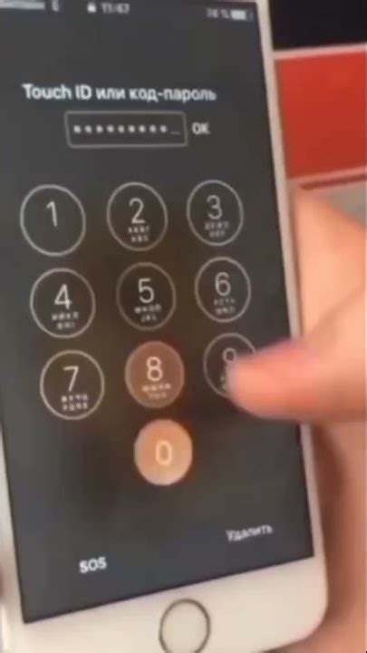 Longest Password I Had Ever Seen🤯 😂😂🔥 Shorts Meme Youtube