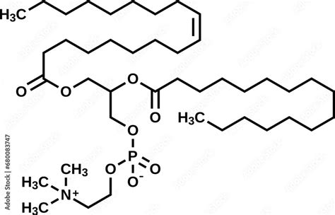 Lecithin Structural Formula At Flynn Deacon Blog