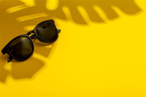 여름과 휴가 개념입니다 밝은 깨끗한 여름 배경에 열대 진실과 식물의 그림자에 선글라스 나무에 대한 스톡 사진 및 기타 이미지 나무 낮 노랑 Istock