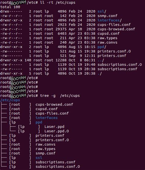 directory shell cmd