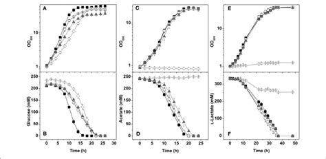 Growth And Carbon Source Consumption Of The C Glutamicum Wild Type