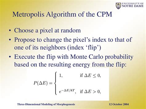 Ppt Three Dimensional Simulation Of Morphogenesis Powerpoint