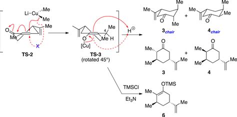 Scheme 3 Ts Model For Axial 1 4 Attack And α Enolate Protonation Trapping Download Scientific