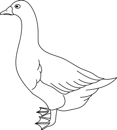 색칠하기 책 벡터 일러스트 레이 션에 대 한 거위 라인 아트 거위 라인 아트 색칠 놀이 책 Png 일러스트 및 벡터 에 대한 무료 다운로드 Pngtree