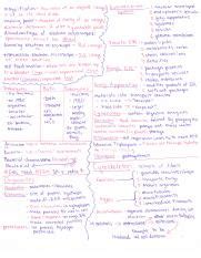 AP Bio Unit Review Pdf Course Hero
