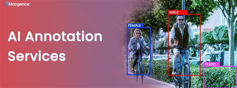 Ai Annotation Services For Ethnicity Image Collection Macgence