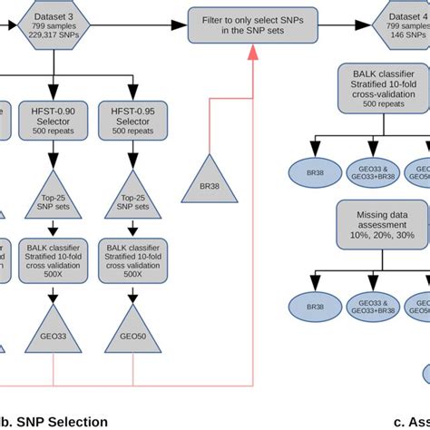 Overview Of The Sample Processing And Marker Selection Download