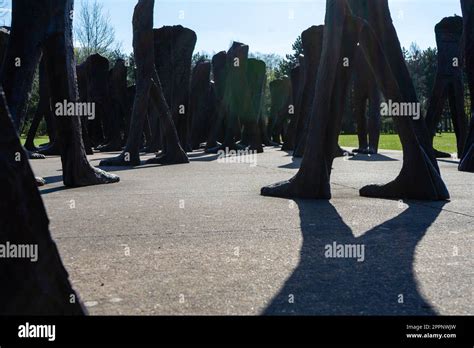Sculptures Complex Nierozpoznani The Unrecognised Art Installation By