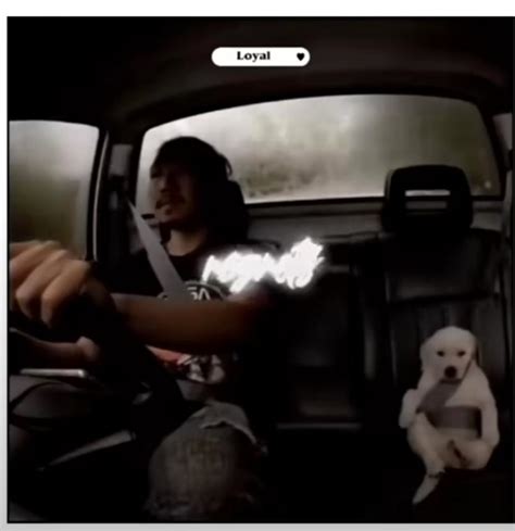 Can Someone Please Help Me Find Where This Picture Is From Rfind