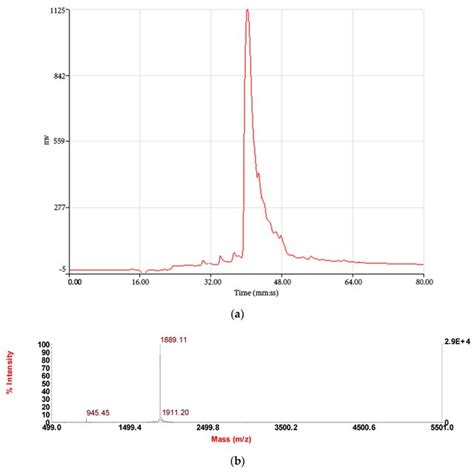 Reverse Phase Rp Hplc Chromatogram A And Matrix Assisted Laser Download Scientific Diagram