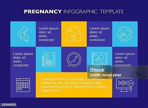 임신 관련 인포그래픽 디자인 라인 아이콘 간단한 개요 기호 아이콘 Dna에 대한 스톡 벡터 아트 및 기타 이미지 Dna 가족 개체 그룹 Istock