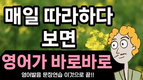1 조동사 Should 매일 따라하다 보면 영어가 바로바로 나옵니다 영어발음 문장연습 이것으로 끝 Youtube