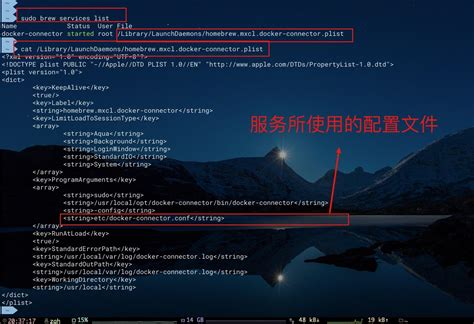 基于docker Connector连通宿主机网络与docker桥接网络 知乎 基于docker Connector连通宿主机网络与docker桥接网络 知乎