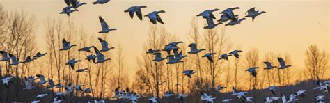 Critical Success Factors For Sap S 4hana Projects Sap Africa News Center