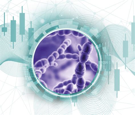 ¿qué Sabemos De Nuevo Sobre Streptococcus Suis