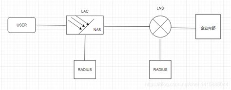 虚拟隧道协议（l2tp）识别及实现 l2tp v3 pcap报文 csdn博客