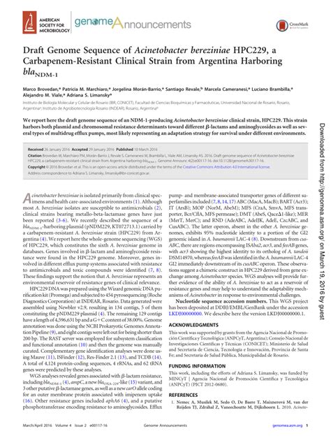 Pdf Draft Genome Sequence Of Acinetobacter Bereziniae Hpc229 A