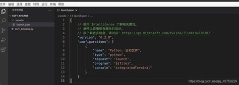 Vscode Python调试vscode设置变量监视窗口 Csdn博客