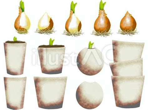 무료 벡터 제목