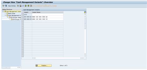 IHCCM SAP Tcode Setup IHC Financial Status