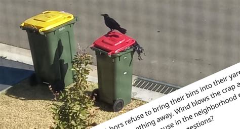Neighbours Slammed For Lazy Wheelie Bin Habit