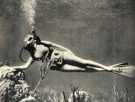 Pro Diver Vintage At Joel Sherwin Blog