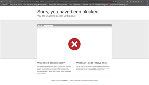 Collected Xss Payloads ⛏ ️⬇️ Cross Site Scripting Xss By The Osint Edge Medium