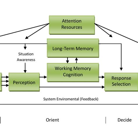 The Human Information Processing Model Adapted From Wickens Hollands Download Scientific