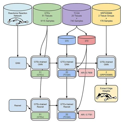 Researchers Build On Human Genome Project Advances Lifeboat News The