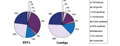 Functional Annotation Of Ests And Contigs Contigs Were Used To Search