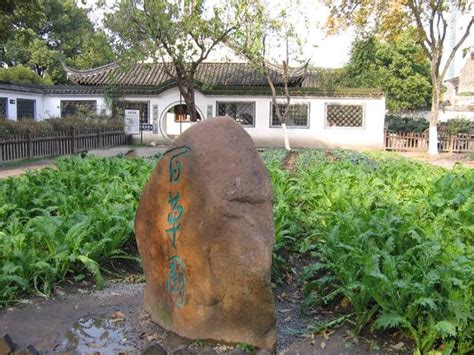 風景圖集紹興魯迅故里風景美圖 每日頭條
