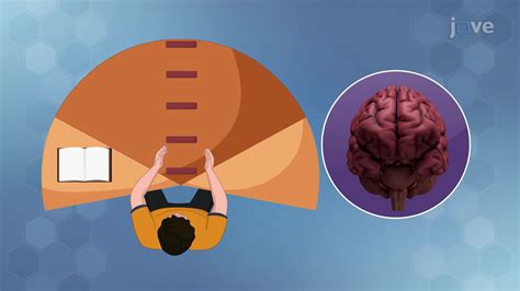 Video Lateralization