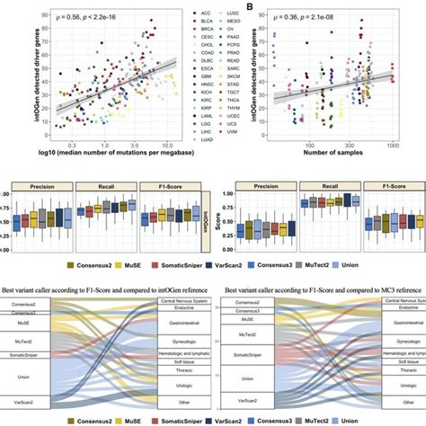 Detection Of Somatic Mutations In Cancer Driver Genes This Upsetr Plot Download Scientific