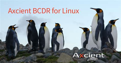 Axcient On Linkedin Axcient X360recover For Linux Bcdr