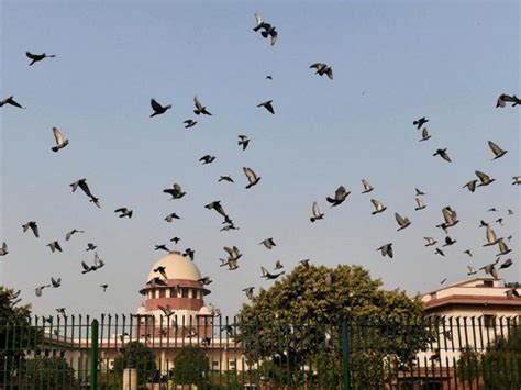 Prashant Bhushan Contempt Of Court Case Sc Gives Lawyer 3 Days To