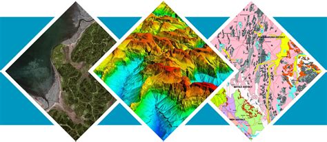 Software Cts Survey Sri Lanka