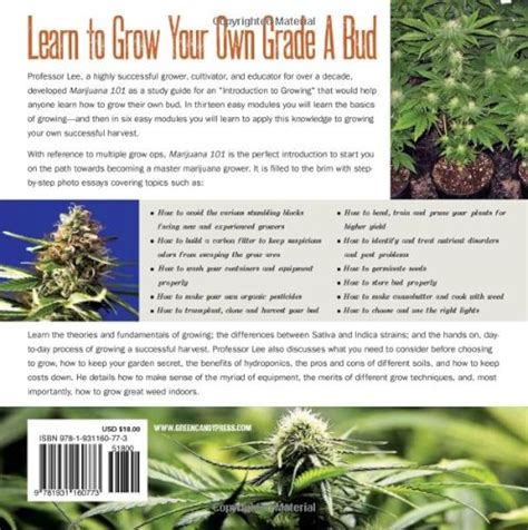 Hemp 101 Everything You Need To Know About Hemp