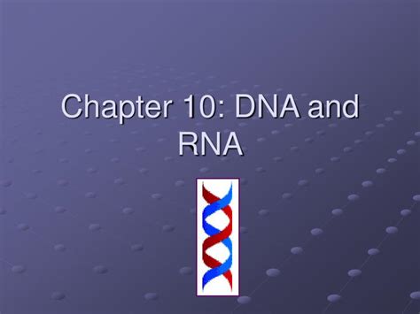 PPT Chapter DNA And RNA PowerPoint Presentation Free Download ID