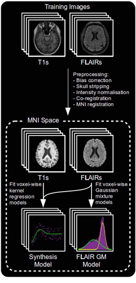 Figure 1 From Brain Lesion Segmentation Through Image Synthesis And Outlier Detection Semantic