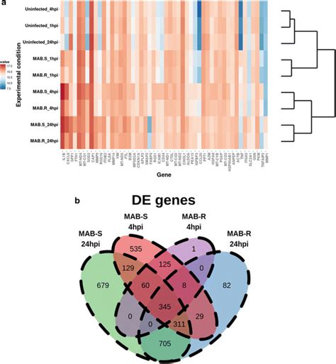 Library Clustering And Overlap Of De Genes A Unsupervised Hierarchical