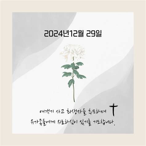 작가 그림책마음상담가 생각소리글쓰기쌤 솔라의정원 솔라가 만든 정원 비단 꽃만 가득한 것을 정원이라고 할 수 있을까 고독이 함께하면 고독하지 않다 솔라