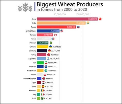 밀 생산량 순위 세계 1위 국가는 라모와
