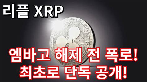 리플 이제 곧 폭등 나옵니다그냥 홀딩 하고 계세요 Youtube